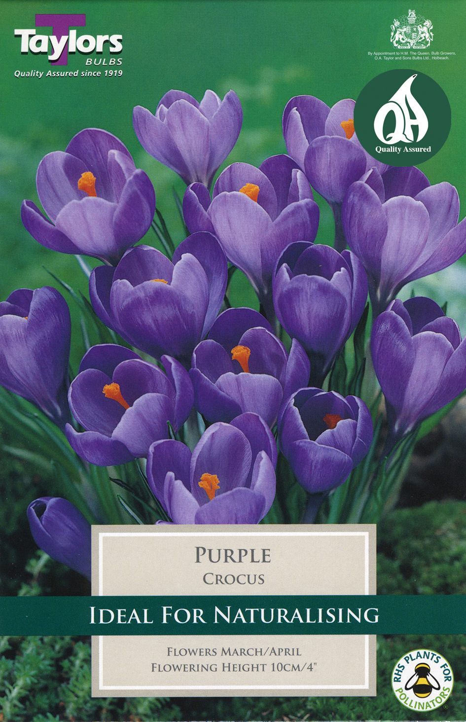 Crocus gift card - how to use, where to buy and balance checker